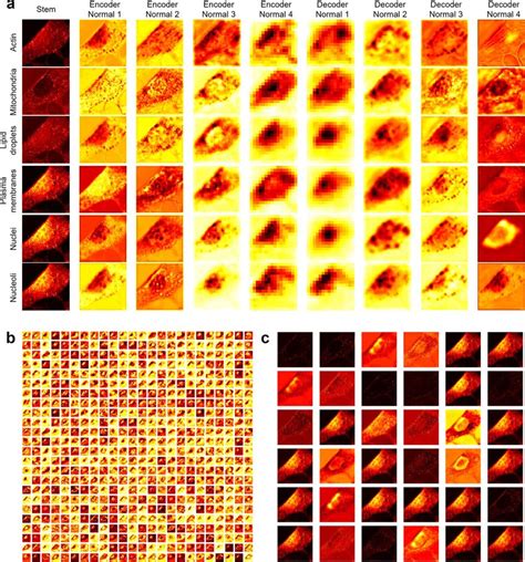 Deep Feature Visualization In Order To Facilitate Interpreting The Download Scientific Diagram Deep Feature Visualization In Order To Facilitate Interpreting The Download Scientific Diagram