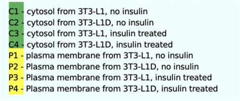 Practical 3 Flashcards Quizlet