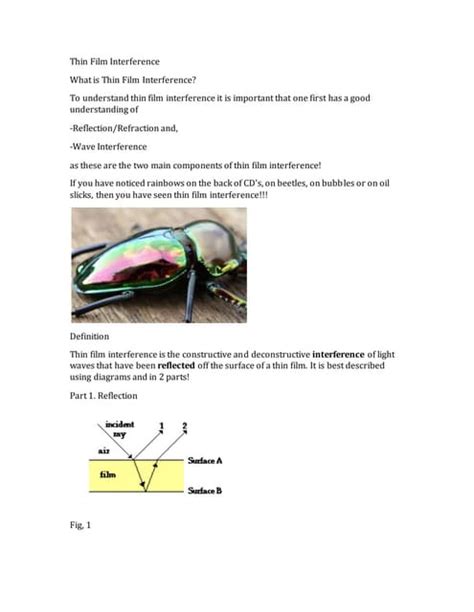 Conditions For Interference Docx Physics Science