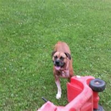 Stream Thai Williams 1 Music Listen To Songs Albums Playlists For Free On Soundcloud