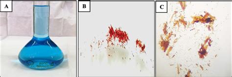 A Silica Gel Purified Pyocyanin B Lyophilized Pyocyanin Powder C Download Scientific Diagram