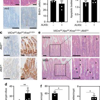 Epithelial cell intrinsic activation of TGFβ signalling is tolerated in Download Scientific