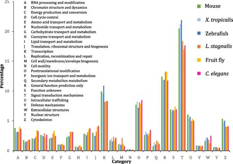 comparison of kog annotations of protein coding transcripts expressed