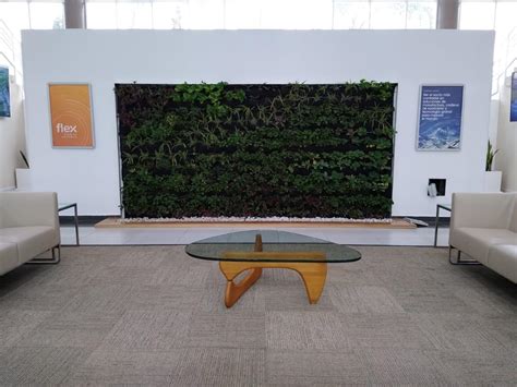 Constructora De Edificios Corporativos En Guadalajara Constructora Innova Construcción