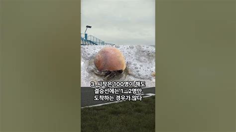 인생에 대한 명언 5가지 일론 머스크 인생명언 주식 중년 Youtube