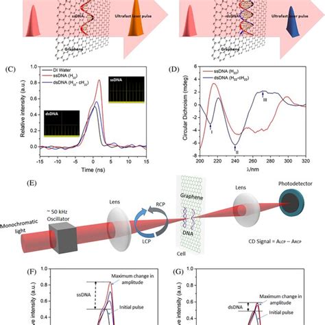 Dft Calculations Of Adsorption Of Dna Nucleobases On Graphene Ab