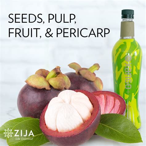 Xango Juice Benefits Waterford West 4133 The Fruit For Life