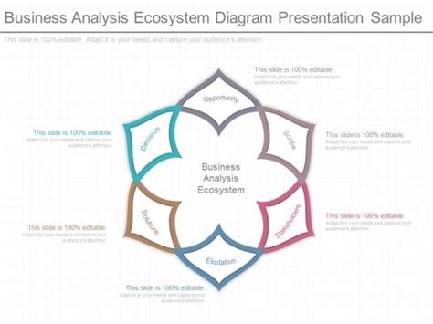 Ecosystem Diagram Examples