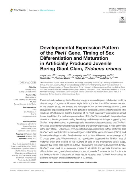 Pdf Developmental Expression Pattern Of The Piwi1 Gene Timing Of Sex