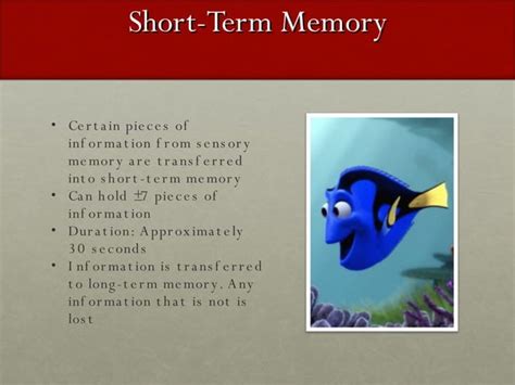 Atkinson And Shiffrins Multi Store Model Of Memory Ppt
