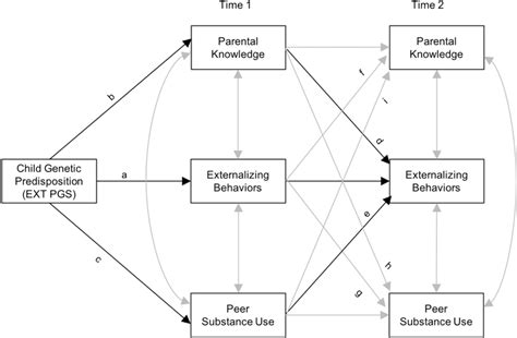 Conceptual Model Of The Associations Among Externalizing Polygenic