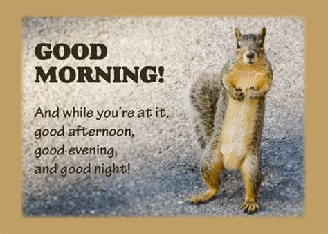Good Morning Greetings Funny