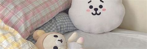 ˚ ༘♡ ⋆｡˚ Twt Header Travel Pillow Colours Pillows