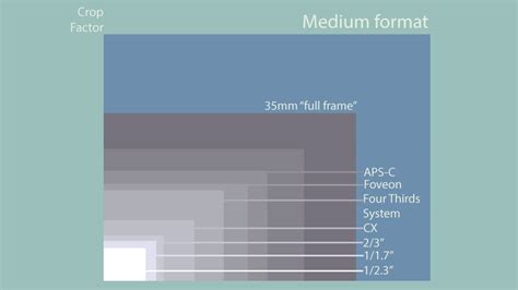 Understanding Crop Factor Bandh Explora