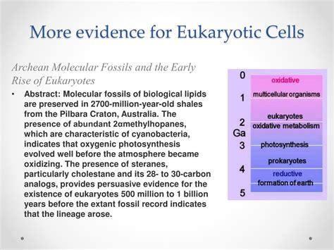 Ppt The Role Of The Endomembrane System In The Evolution Of Eukaryotic Cell Function