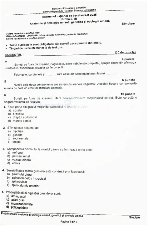 Subiecte Simulare Bac 2025 Fizică Chimie Biologie Informatică Geografie Logică Psihologie