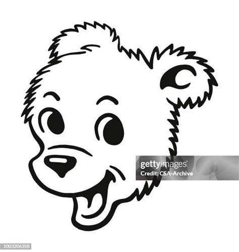 110 Bear Cub Face Vector High Res Illustrations Getty Images