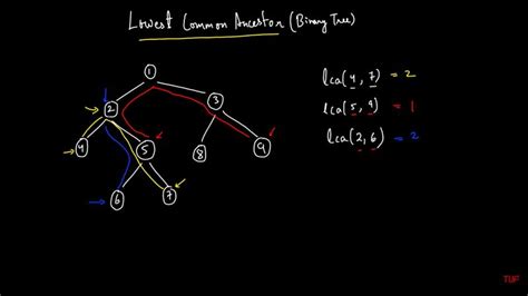 sumit thakur on linkedin 100daysofdsa