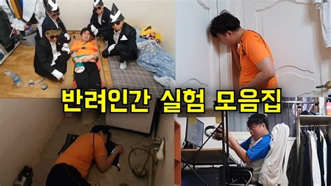 반려인간 실험 모음집 Youtube