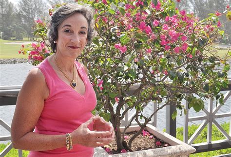 Five Things You Didnt Know About Susan Levine Your Observer