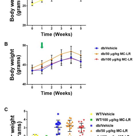 Effect Of Microcystin Lr Mc Lr On Body And Liver Weights In Both Download Scientific Diagram