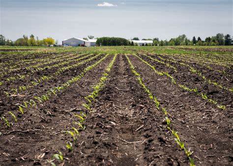 Robb Fraley On Linkedin Out Of Hibernation Springtime On The Farm