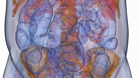 To Grasp How Serotonin Works On The Brain Look To The Gut Psyche Ideas