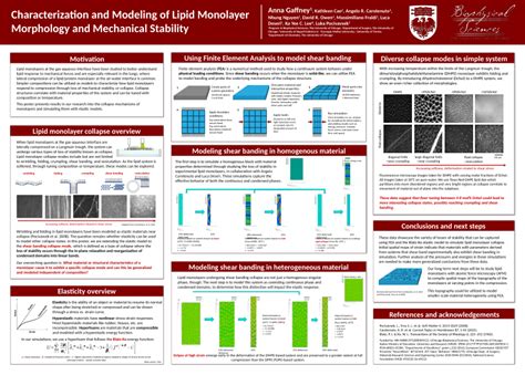 Pdf Characterization And Modeling Of Lipid Monolayer Morphology And