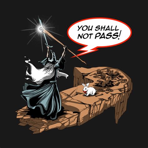 You Shall Not Pass Rabbit T Shirt The Shirt List