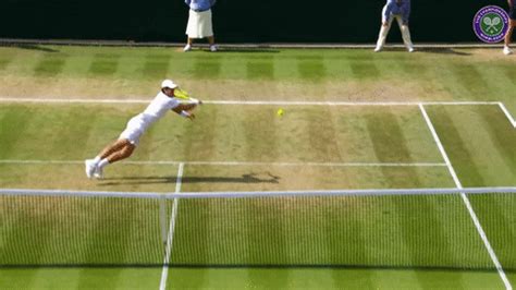Tennis Lol  By Wimbledon Find And Share On Giphy