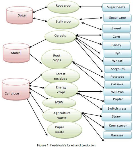Molasses Based Ethanol At Raymond Terrell Blog