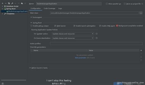 Springboot Devtools的配置详解spring Boot Devtools配置 Csdn博客