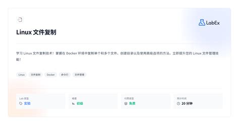 linux 文件复制 命令行文件管理 labex