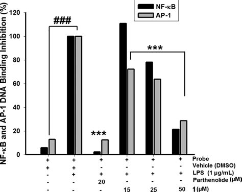 Effect Of 1 On Nf κb And Ap 1 Dna Binding Activity An Electrophoretic