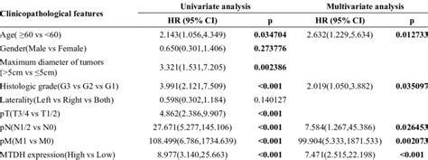Uni And Multi Variate Cox Regression Of Mtdh Protein Expression For Download Scientific Diagram