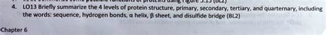 Solved Lo13 Briefly Summarize The 4 Levels Of Protein Structure Primary Secondary Tertiary