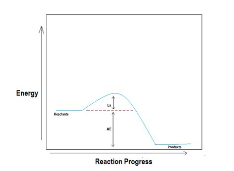 Draw A Reaction Coordinate Diagram For An Exothermic Reactio Quizlet