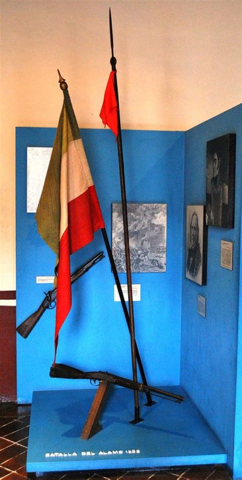 Battle Of Alamo Flag