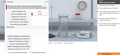 Solved Lab Data X PHASE 2 Weigh Magnesium Metal Complete Chegg Com
