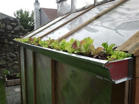 Gutter Lettuce Ballard Fresh