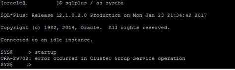 Lazy DBA ORA 29702 Error Occurred In Cluster Group Service Operation