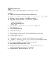 Taxonomy Lab Work Sheet Docx Taxonomy Lab Work Sheet Name Complete This Work Sheet And Turn In
