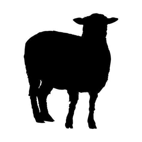 Premium Vector Sheep Silhouette Set Collection Isolated Black On