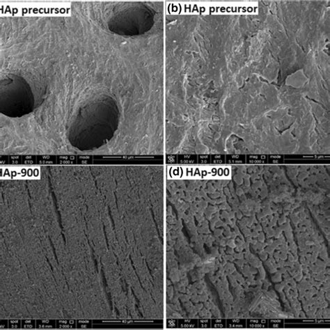Ftir Of Pla Pla Hap And Pla Hap Sr Samples Download Scientific Diagram