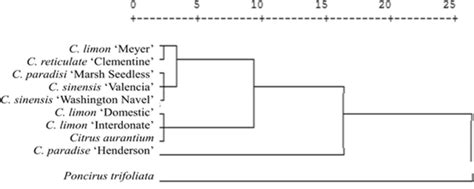 dendrogram of hierarchical cluster analysis obtained by ward s