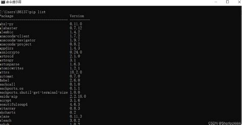 如何查看python安装了哪些包 阿里西西