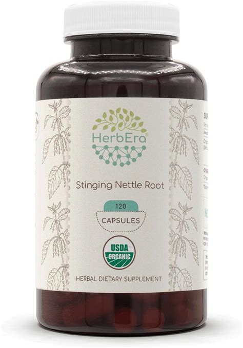 Herbera Stinging Nettle Root Usda Organic 120 Capsules