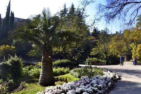 Tbilisi Botanical Garden Georgian Travel Guide