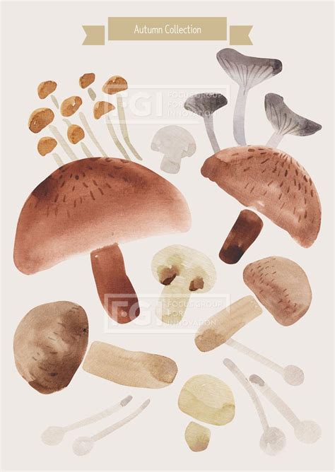 U160921 유자디자인 일러스트 가을 음식 추석 백그라운드 한가위 명절 차례 차례상 제사 제사음식 수채화 수작업 북유럽 갈색 버섯 표고버섯