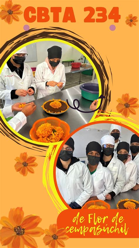 🌟 3ra Jornada Deportiva De La Dgeta Y Cm Cbta 234 Copandaro 2024 🌟 La